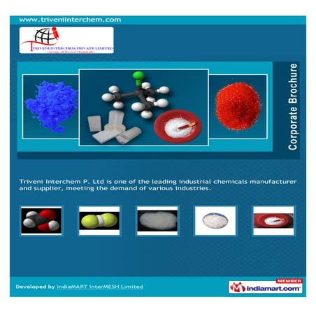 Triveni Interchem Pvt. Ltd. ( Group Of Triveni Chemicals), Vapi ...