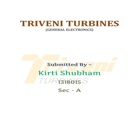 Triveni turbines EIC & DCF Evaluation summary | PDF
