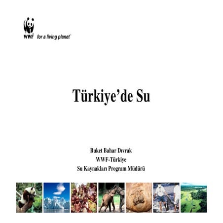 WATER İN TURKEY (Türkiye'de Su) | PDF
