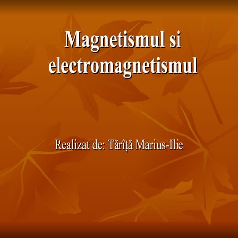 TăRîţă Marius Ilie Magnetismul șI Electromagnetismul | PPT