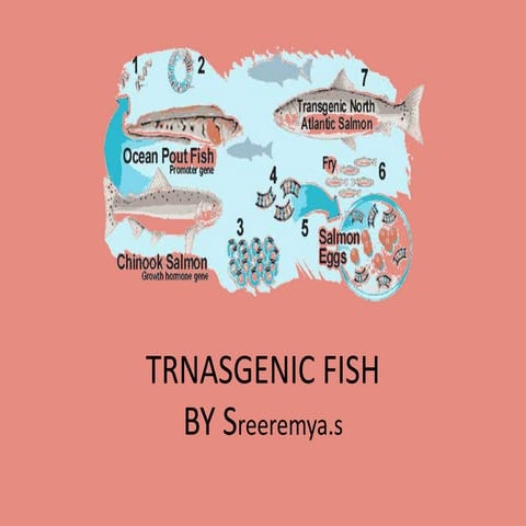 Trnasgenic fish | PPTX