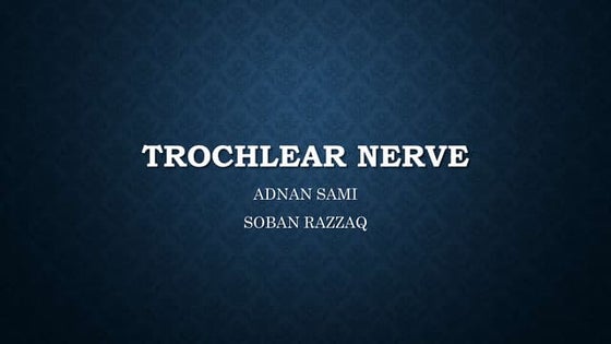 Trochlear nerve | PPT