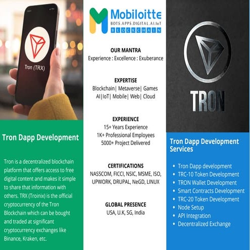 TRON Development Services | PDF