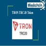 TRON TRC-20 Token.pptx