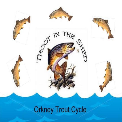 Troot cycle | PPT