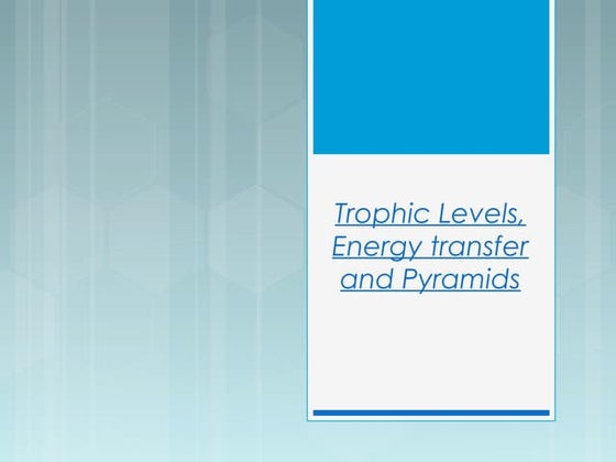 Interactions:Transfer of Energy in Trophic Levels, Prepared by: Edsyl ...