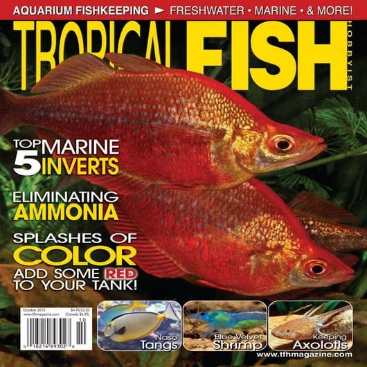Tropical fish hobbyist october 2012 | PDF