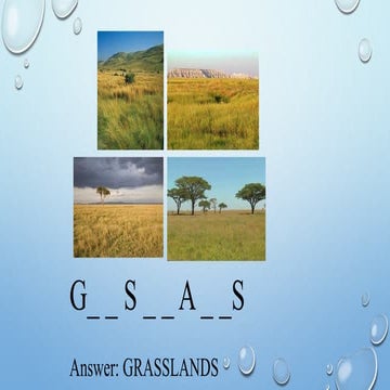 Tropical-Grasslands people and ecosystem | PPTX