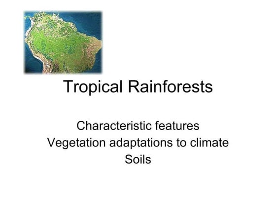 Rainforest ecosystem | PPT