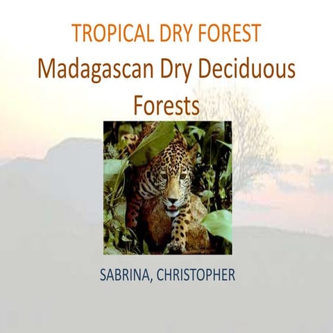 Tropical dry forest | PPTX | Geography | Science