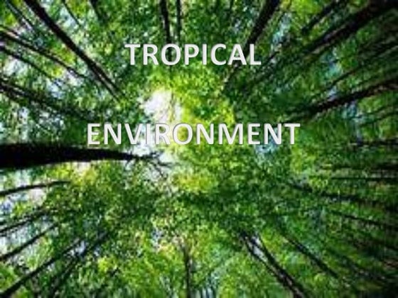 LAND FORM OF TROPICAL ENVIRONMENT | PPT