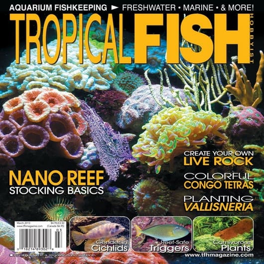 Tropical fish hobbyist 2013 03 | PDF