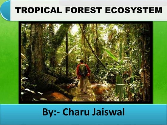 Forest Ecosystem | PPT