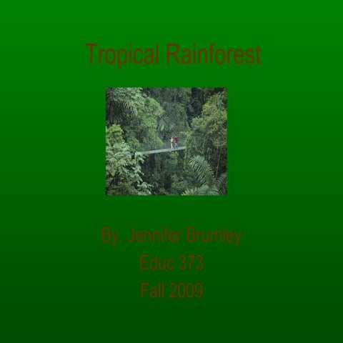 Tropical Rainforest | PPT