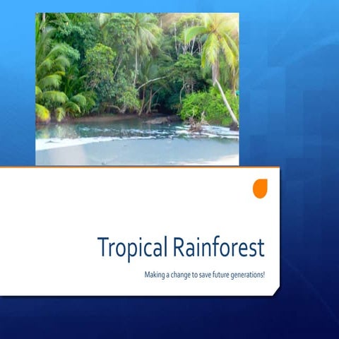 Tropical Rainforest | PPT