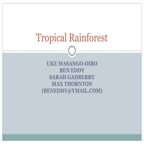 Rainforest flora & fauna | PPT