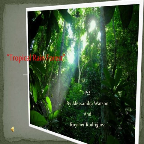 Tropical rain forest | PPT