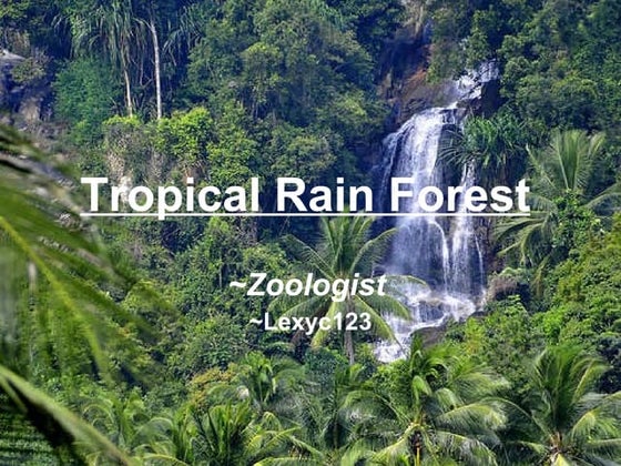 The amazon rainforest | PPT