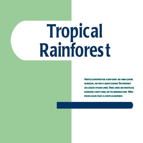 Tropical rainforest | PPT