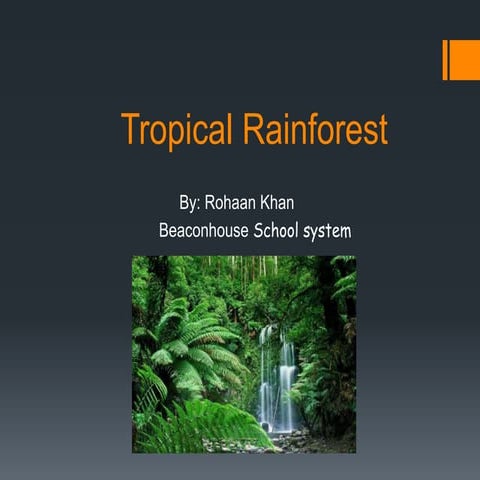 Tropical rainforest | PPT