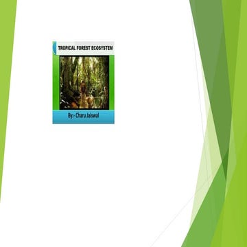 Tropical Rainforest.pptx