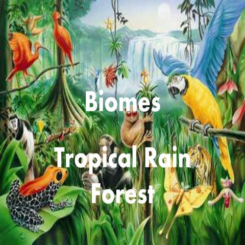 Tropical rain forest_biome no owl | PPTX