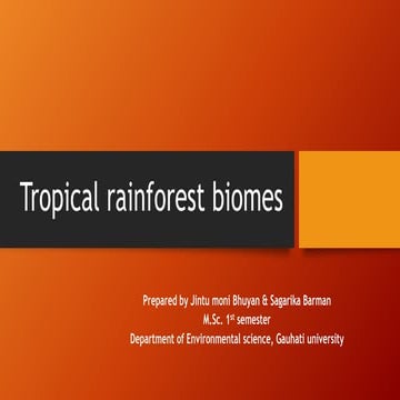 Tropical rainforest biomes | PPTX