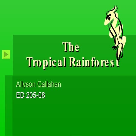 Tropical Rainforest Interactive Pp | PPT