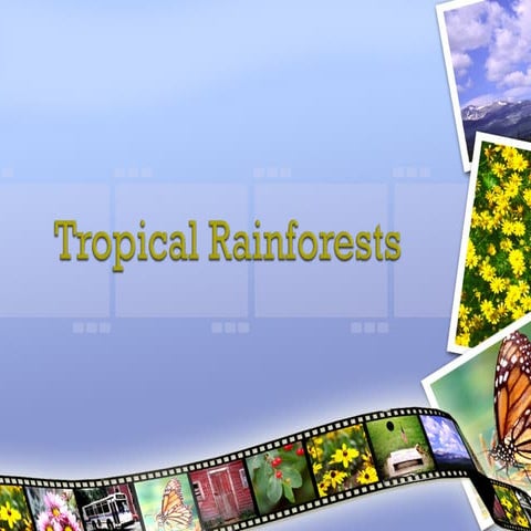 Tropical rainforests | PPT