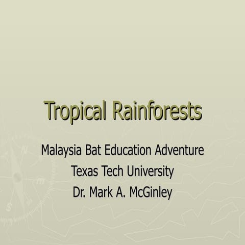 Tropical rainforests | PPT