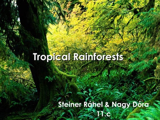 Tropical rainforest | PPT