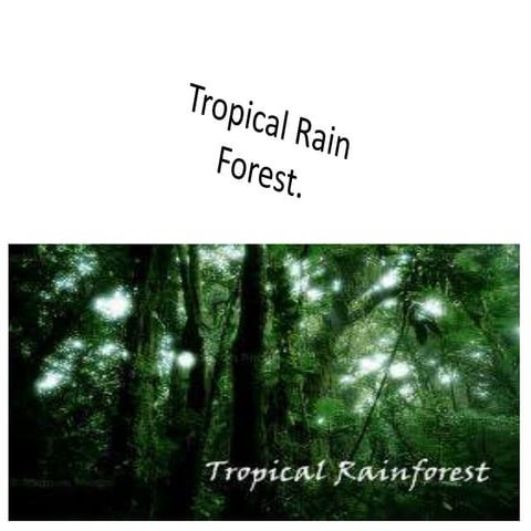 Tropical rain forest science 10 | PPTX