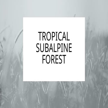 TYPE OF FOREST IN THE PHILIPPINES:TROPICAL SUBALPINE FOREST | PPTX