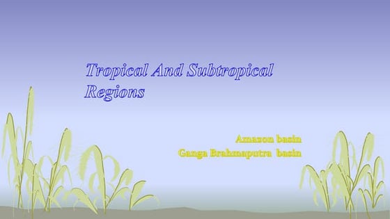 Tropical and subtropical regions | PPTX | South America Travel | Travel ...