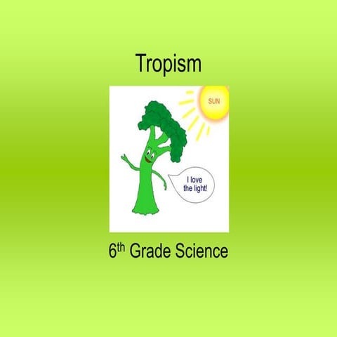 Tropism.ppt