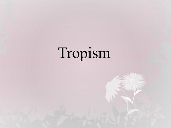 Tropism.ppt