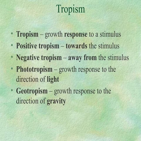 Tropism.pptx focus on photo and geotropism | PPTX