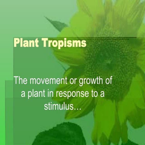 Tropism 2013 7th Grade | PPTX