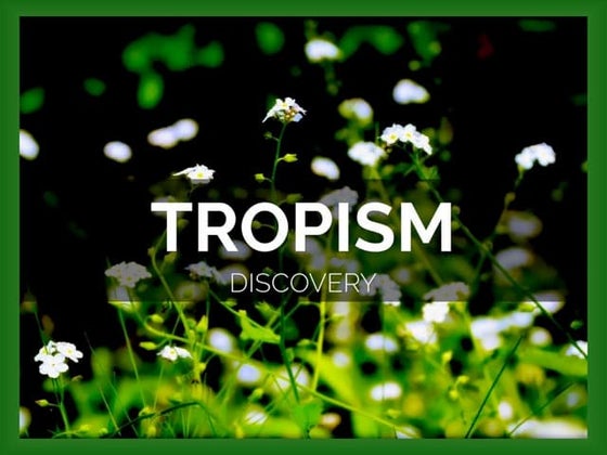 Tropism | PPTX