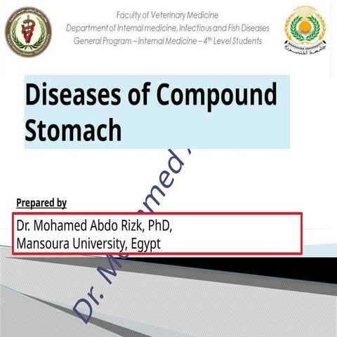 Traumatic reticuloperitonitis in ruminants | PPTX