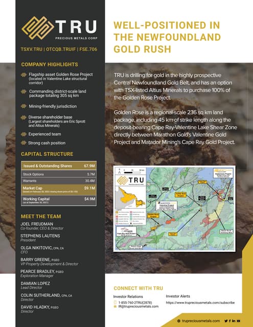 Rio silver Fact Sheet | PPT