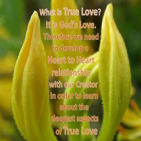 True love 16 | PPSX