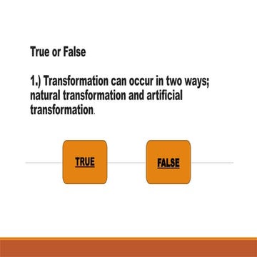 True-or-False__ powerpoint presentation | PPT