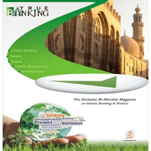 True Banking Profile | PDF