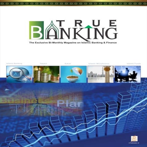 True banking profile light | PDF