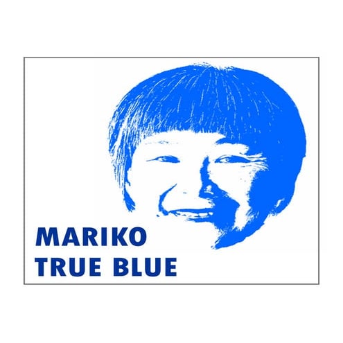 Flyer - State Senate Campaign | PDF