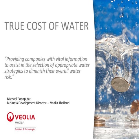 The True Cost of Water | PDF
