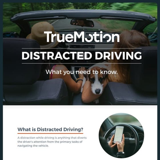 Seapine driverless car safety infographic | PDF