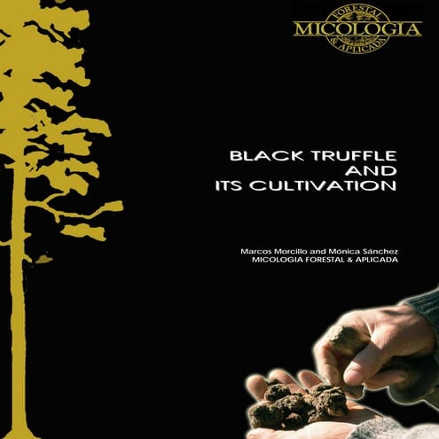 Truffle farming guide | PDF
