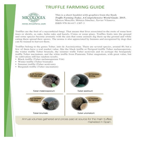 Truffle farming guide micofora booklet | PDF
